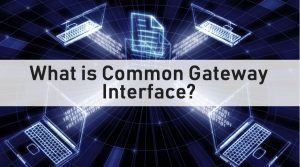 What is Common Gateway Interface? | How It Works | Skill & Career Move