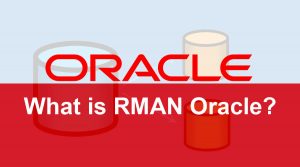 What is RMAN Oracle | Features | Skill & Career Growth | Advantages
