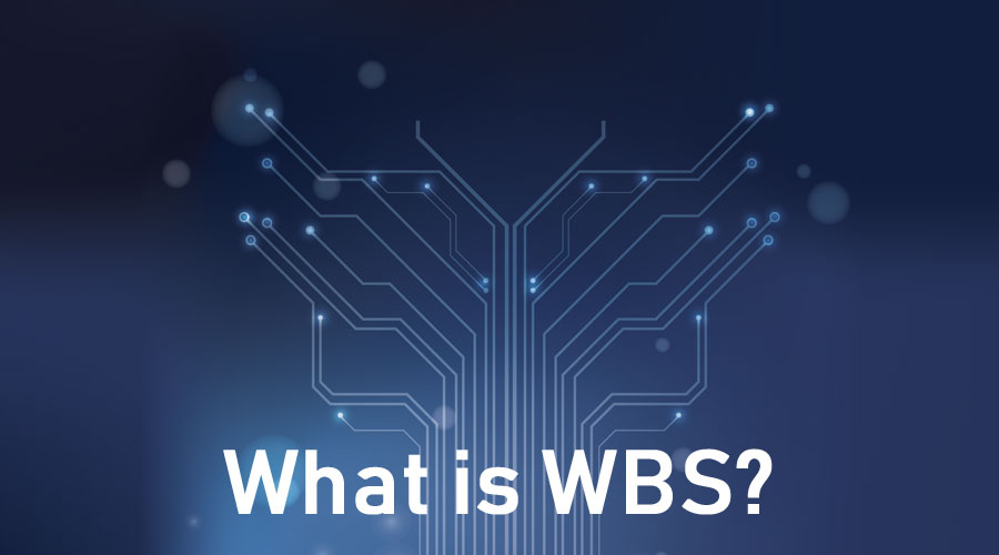 What is WBS? | A Complete Guide to Work Breakdown Structure