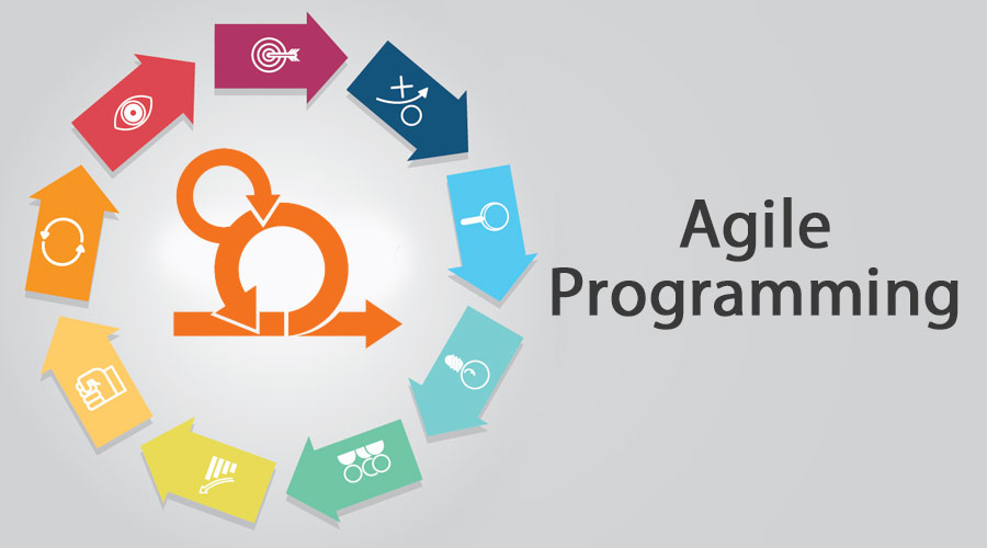 Agile Programming | Purpose and Functioning of Agile Programming Agile Programming | Purpose and Functioning of Agile Programming