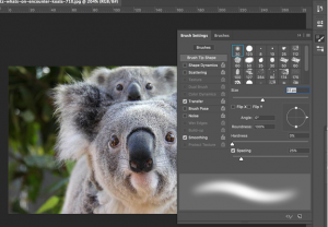 Blur Tool in Photoshop | Guide to How to Use Blur Tool In Photoshop?