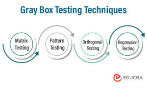 Gray Box Testing - Meaning, Techniques and Examples