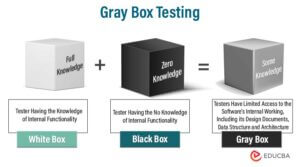 Gray Box Testing - Meaning, Techniques and Examples