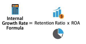 Internal Growth Rate Formula | Calculator (Excel Template)