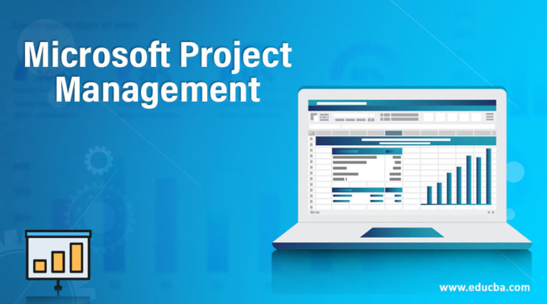 Microsoft Project Management | 5 Amazing Versions of Software