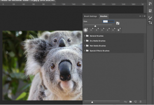 Blur Tool in Photoshop | Guide to How to Use Blur Tool In Photoshop?