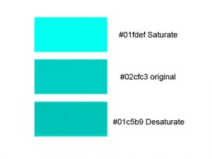 Sponge Tool In Photoshop | Different Step To Configure Sponge Tool
