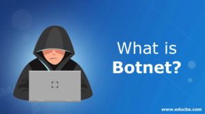 What is Botnet? | Quick Glance on Botnet | How to Detect and Prevent?