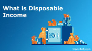 What is Disposable Income | Types and Example with Advantages