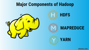 Hadoop Components | Core Commponents of Hadoop With Examples