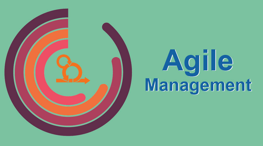 Agile Management Principles And Characteristics Of Agile Management