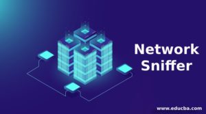 Network Sniffer | How it Works? | Tools and Types of Network Sniffer
