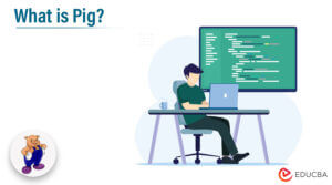 What is Pig? | Comprehensive Detailed Understanding to Apache Pig