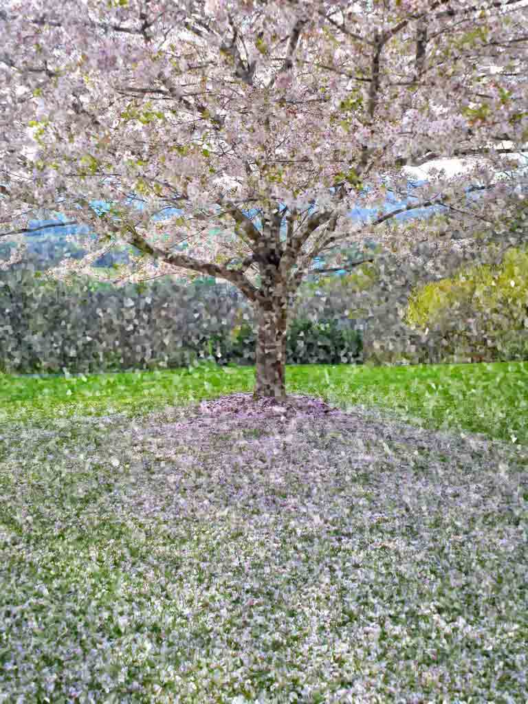 Snow Effect in Photoshop | How to create Snow Effect in Photoshop?