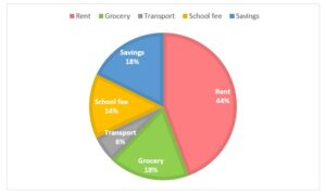 Pie Chart Examples | Types of Pie Charts in Excel with Examples