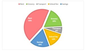 Pie Chart Examples | Types of Pie Charts in Excel with Examples