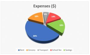 Pie Chart Examples | Types of Pie Charts in Excel with Examples
