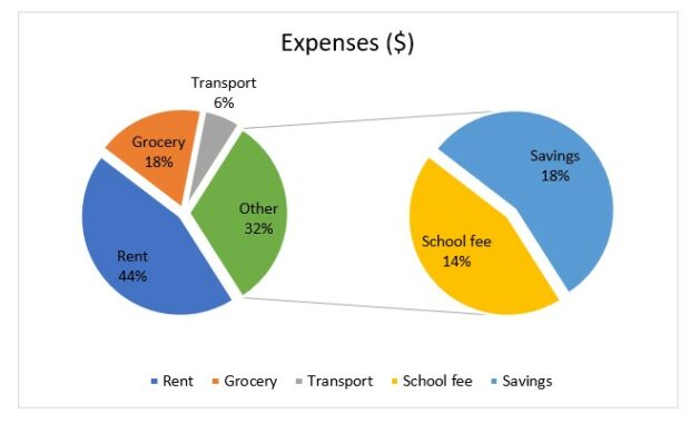 Pie Chart Examples | Types of Pie Charts in Excel with Examples