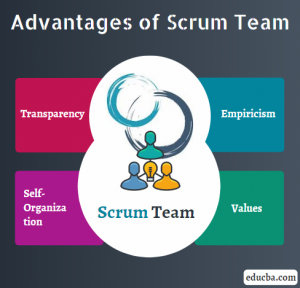 Scrum Team Roles | Scrum Framework and Advantages of Scrum Team