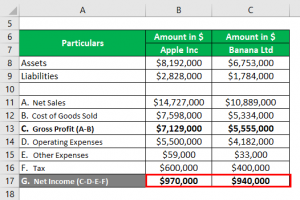 Equity Examples | Top 4 Real life Examples of Equity
