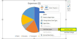 Pie Chart Examples | Types of Pie Charts in Excel with Examples