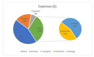 Pie Chart Examples | Types of Pie Charts in Excel with Examples