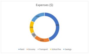 Pie Chart Examples | Types of Pie Charts in Excel with Examples