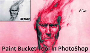Paint Bucket Tool in Photoshop | Learn How to use Paint Bucket Tool?
