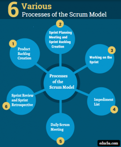 Scrum Process | Learn the Various Process and Key Role of Scrum Model
