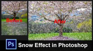 Snow Effect in Photoshop | How to create Snow Effect in Photoshop?