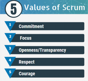 Scrum Values | Learn the Values of Scrum with Roles and Significance