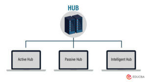 Types of Network Devices | Top 8 Common Types of Network Devices