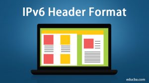 IPv6 Header Format | List of IPv6 Header Format Component
