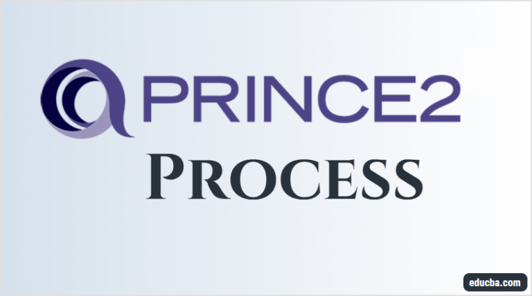 PRINCE2 Process | 7 Principles & Theme of PRINCE2 Process
