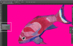 Rectangle Tool in Photoshop | How to use Rectangle Tool in Photoshop?