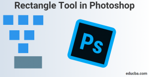 Rectangle Tool In Photoshop How To Use Rectangle Tool In Photoshop