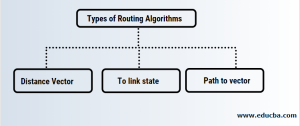 Routing Algorithms | Comprehensive Understanding of Routing Algorithms