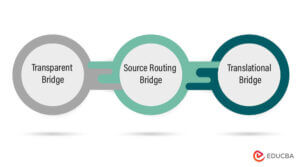 Types of Network Devices | Top 8 Common Types of Network Devices