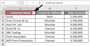 Wildcard in Excel | How to Use Wildcard Characters in Excel? (With Types)