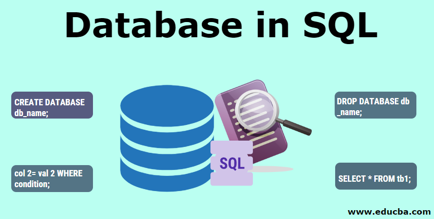 Database In SQL Complete Guide To Database In SQL