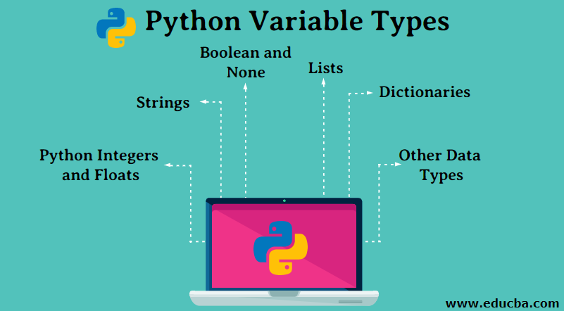Python Variable Types Top 6 Useful Types Of Variables In Python