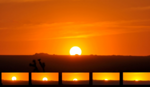 Image Link in HTML | Different HTML in Image Link with Code & Syntax