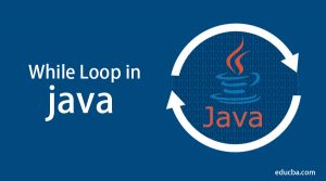 While Loop in Java | Example of While Loop in Java
