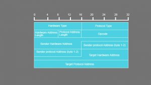 ARP Packet Format | Structure, Working & Components of ARP Packet