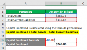 Capital Employed | Examples | Advantages and Limitations