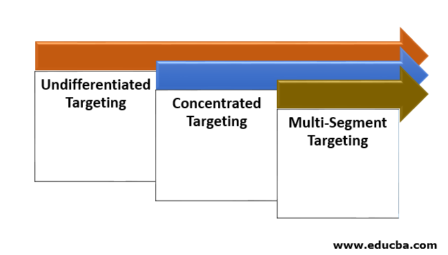 Market Segmentation and Targeting | Categories of Target Marketing