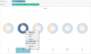 Donut Chart in Tableau | Creating a donut chart in tableau & its importance