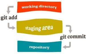 Git Index | Understanding The Concept of GIT Index