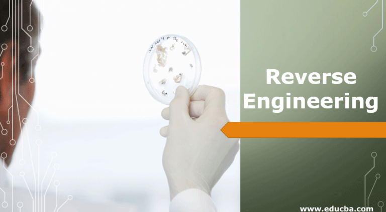 Reverse Engineering: Uses, Process, Method and Examples