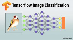 Tensorflow Image Classification | Complete Guide on Image Classification